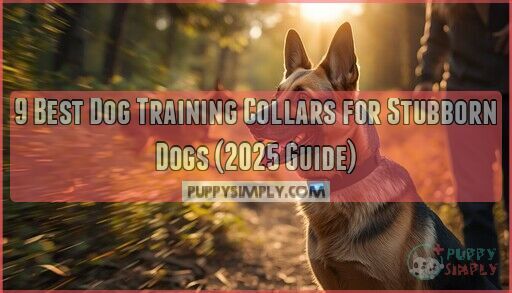 9 Best Dog Training Collars for Stubborn Dogs (2025 Guide)