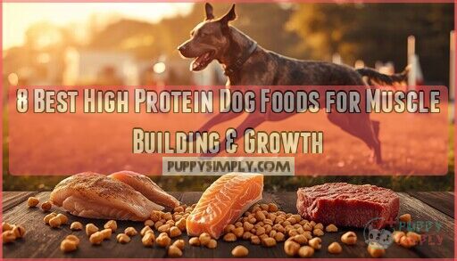 8 Best High Protein Dog Foods for Muscle Building & Growth