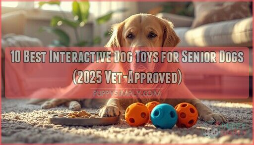 10 Best Interactive Dog Toys for Senior Dogs (2025 Vet-Approved)
