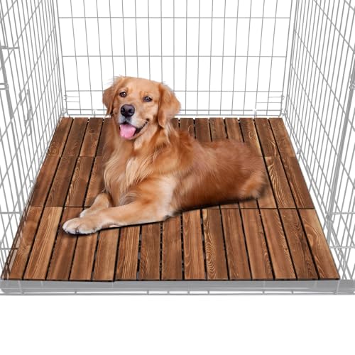 Best Floor for Outdoor Dog Kennel: 8 Safe, Durable Options