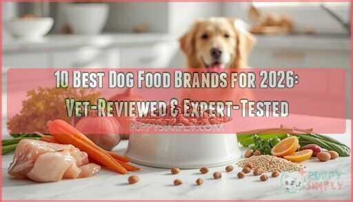 10 Best Dog Food Brands for 2026: Vet-Reviewed & Expert-Tested