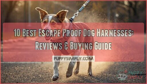 10 Best Escape Proof Dog Harnesses: Reviews & Buying Guide