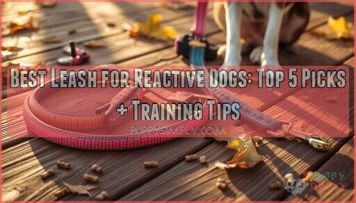 Best Leash for Reactive Dogs: Top 5 Picks + Training Tips