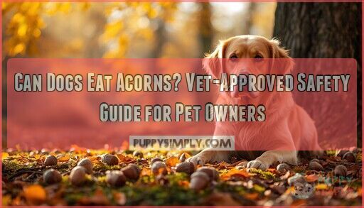 Can Dogs Eat Acorns? Vet-Approved Safety Guide for Pet Owners