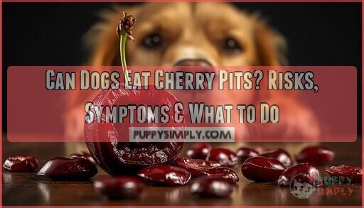 Can Dogs Eat Cherry Pits? Risks, Symptoms & What to Do