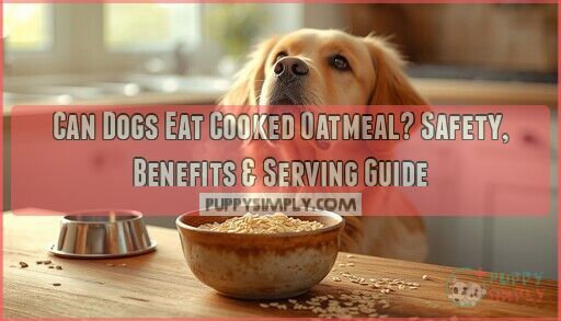 Can Dogs Eat Cooked Oatmeal? Safety, Benefits & Serving Guide