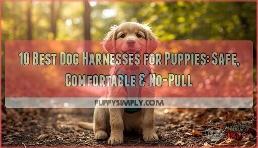 10 Best Dog Harnesses for Puppies: Safe, Comfortable & No-Pull