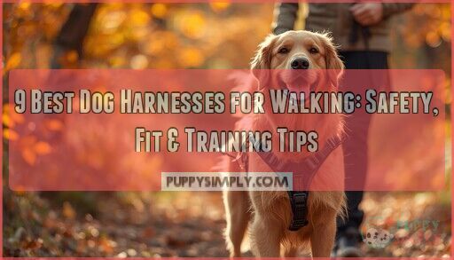 9 Best Dog Harnesses for Walking: Safety, Fit & Training Tips