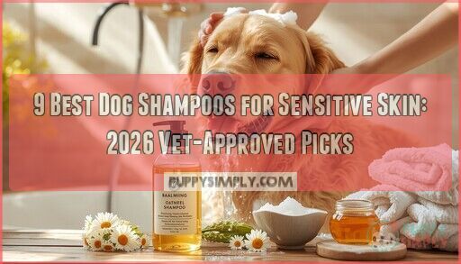9 Best Dog Shampoos for Sensitive Skin: 2026 Vet-Approved Picks