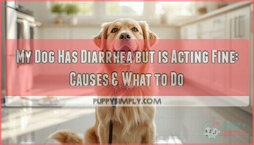 My Dog Has Diarrhea but is Acting Fine: Causes & What to Do