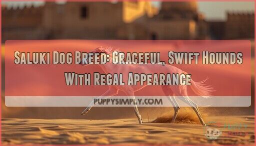 Saluki Dog Breed: Graceful, Swift Hounds With Regal Appearance