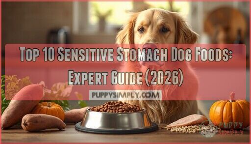 Top 10 Sensitive Stomach Dog Foods: Expert Guide (2026)