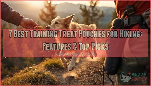 7 Best Training Treat Pouches for Hiking: Features & Top Picks