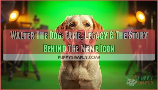 Walter The Dog: Fame, Legacy & The Story Behind The Meme Icon