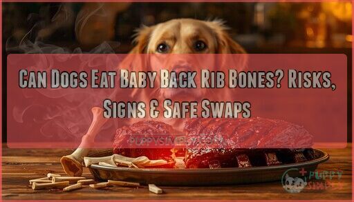 Can Dogs Eat Baby Back Rib Bones? Risks, Signs & Safe Swaps