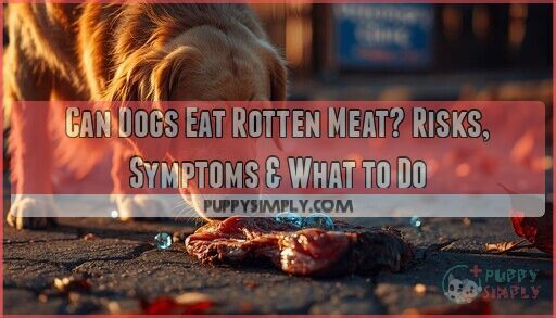 Can Dogs Eat Rotten Meat? Risks, Symptoms & What to Do
