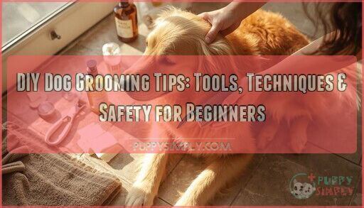 DIY Dog Grooming Tips: Tools, Techniques & Safety for Beginners