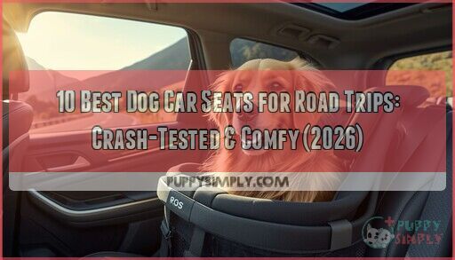 10 Best Dog Car Seats for Road Trips: Crash-Tested & Comfy (2026)