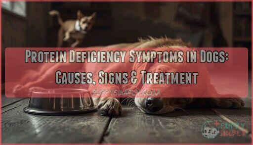 Protein Deficiency Symptoms in Dogs: Causes, Signs & Treatment
