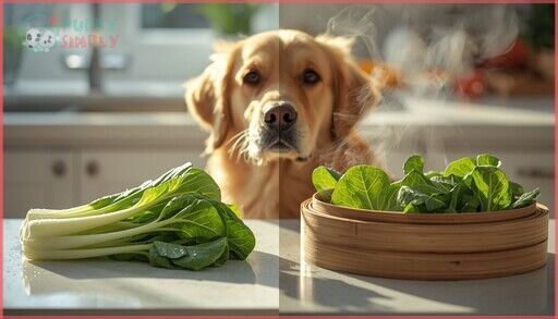 Can Dogs Eat Bok Choy? Safety, Benefits & Vet-Approved Tips