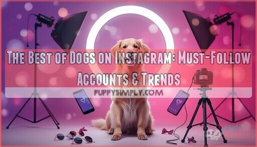 The Best of Dogs on Instagram: Must-Follow Accounts & Trends