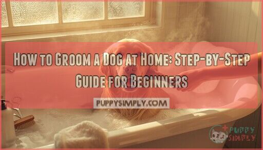 How to Groom a Dog at Home: Step-by-Step Guide for Beginners