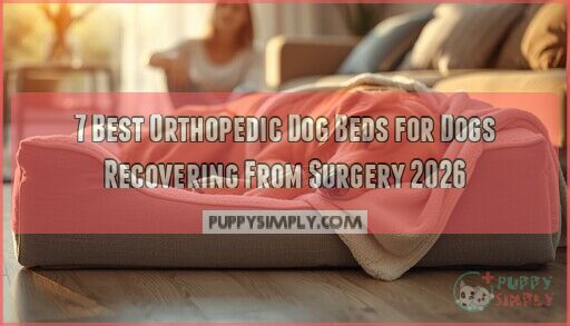 7 Best Orthopedic Dog Beds for Dogs Recovering From Surgery 2026