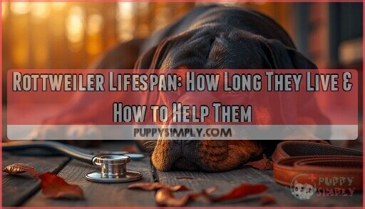 Rottweiler Lifespan: How Long They Live & How to Help Them