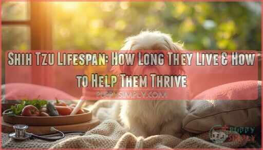 Shih Tzu Lifespan: How Long They Live & How to Help Them Thrive